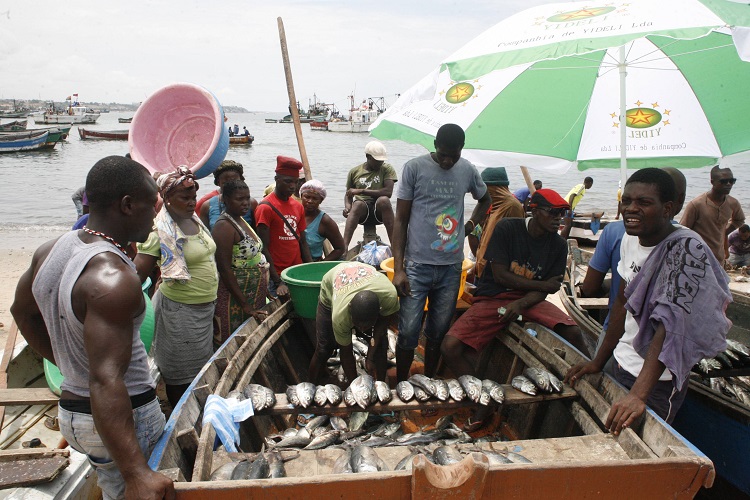 Aumento da exportação de peixe é prioridade em Angola - RDP África - RTP